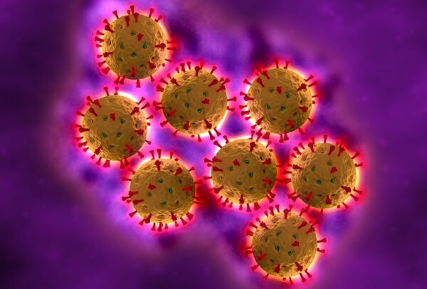 Infectious Diseases - NFID