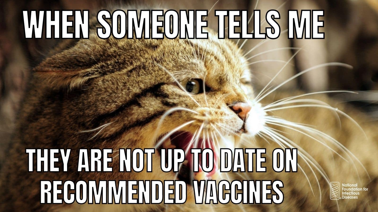 Infectious Disease Memes – NFID