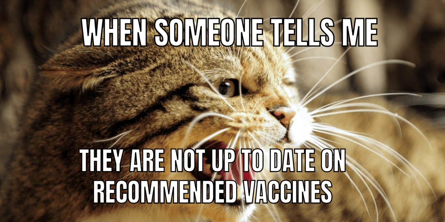 Infectious Disease Memes – NFID