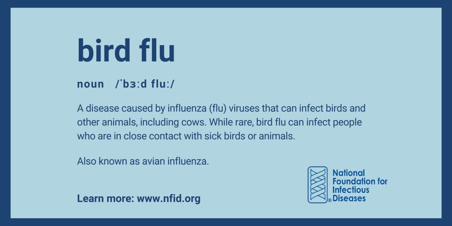 2022 National Survey Attitudes About Influenza And Pneumococcal